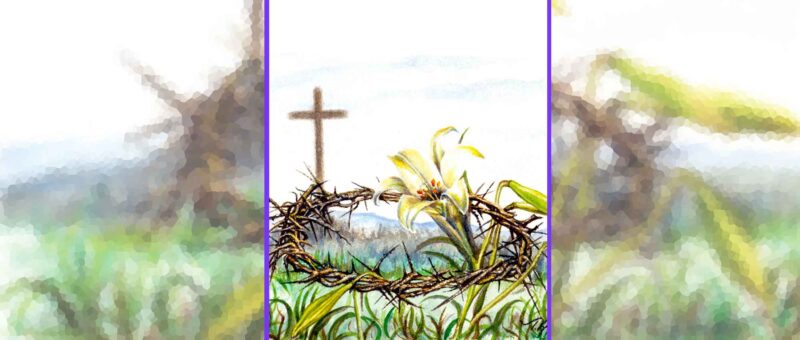 Jesus Our Healer – Encouraged by Scripture